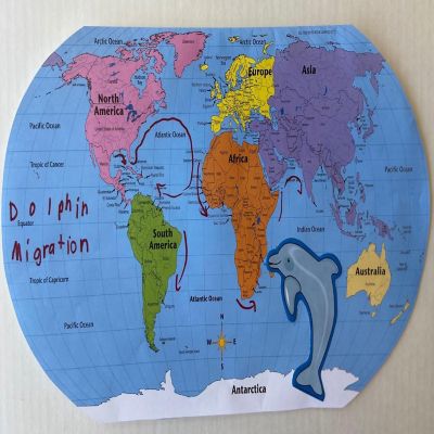 Creative Shapes Etc. - Labeled World- Practice Maps | Oriental Trading