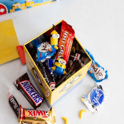 Despicable Me Minions Tin Storage Box Cube Organizer with Lid 4 Inches ...