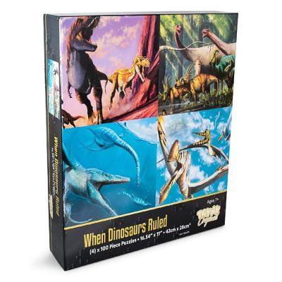 Dinosaur 100-Piece Jigsaw Puzzle Box Bundle Set of 4 | Oriental Trading