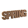 DIY Unfinished Wood “Spring” Letters - Discontinued