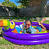 Inflatable Toucan Swimming Pool | Oriental Trading