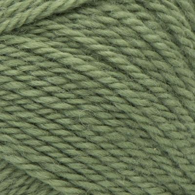 Patons Classic Wool Yarn-Meadow