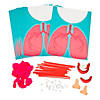 STEM Lung Model Biology Activity Learning Challenge Craft Kit - Makes 10