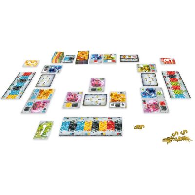 Synapses Games: Coatl Card Game - Pattern Building Card Game 10+ | Oriental Trading