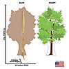 Tree Cardboard Stand-Up | Oriental Trading