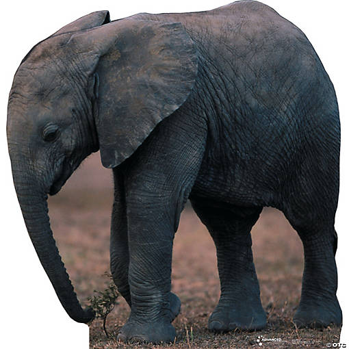 Oriental Trading | Customer Questions and Answers | Elephant Cardboard ...