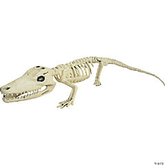 6 Ft. Life-Size Original Plastic Mermaid Skeleton Halloween Decoration ...