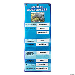 Classroom Pocket Charts for Teachers | Oriental Trading