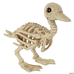 Skeleton Parrot Prop
