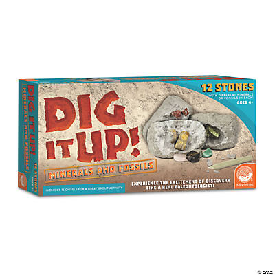 Dig it Up! Fossils & Minerals plus FREE Excavation Kit