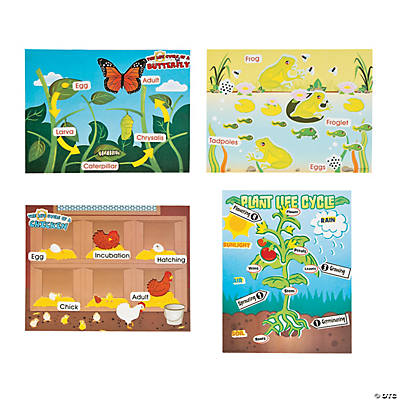 Life Cycle Sticker Scene Assortment