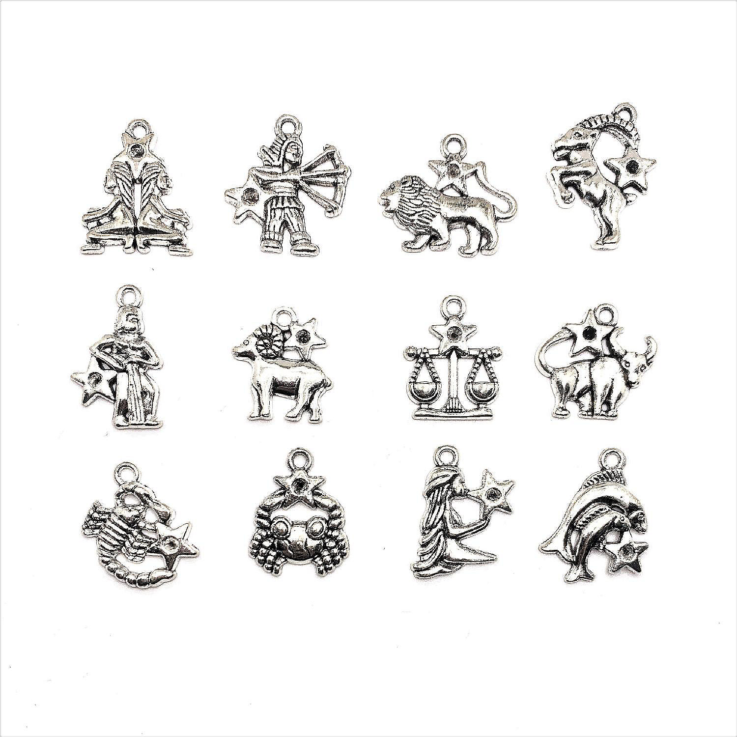 12 Pcs Silver Zodiac Character Signs