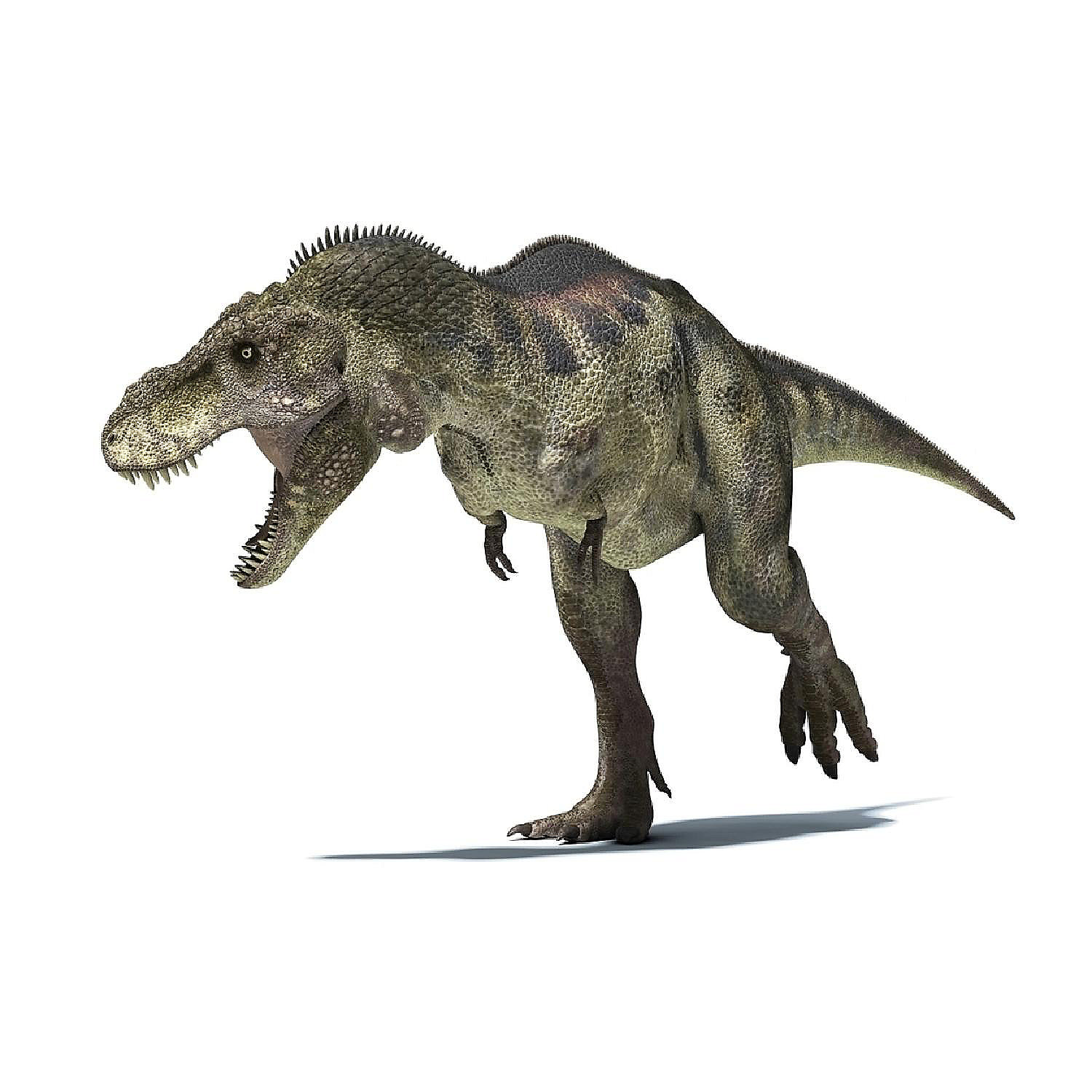 3D rendering of a Tyrannosaurus Rex dinosaur Poster Print 16 x 12 ...