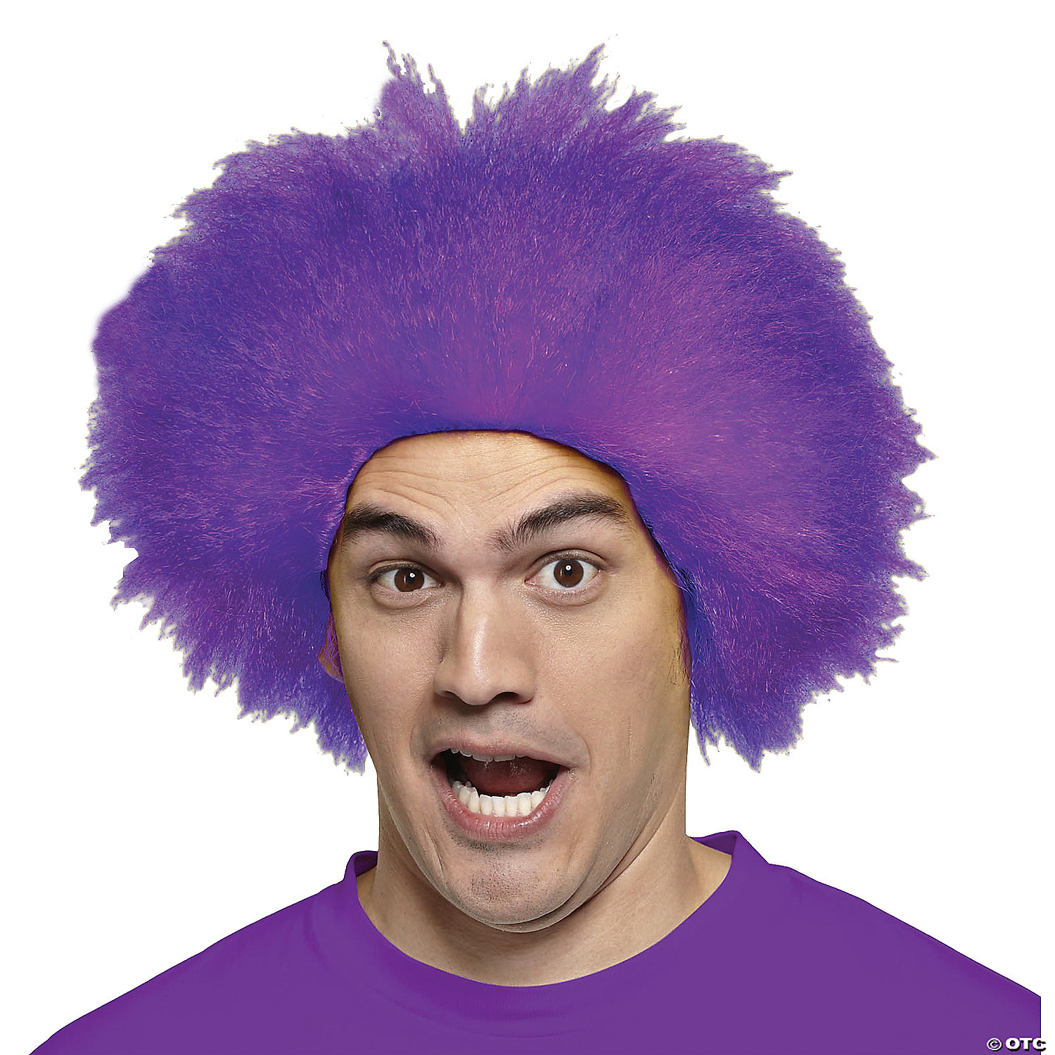 Adults Fun Wig | Morris Costumes