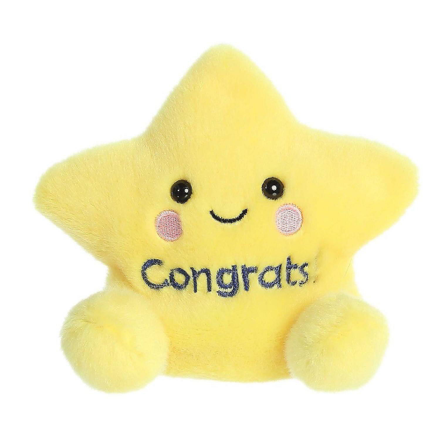 Aurora Congrats Grad Star Palm Pal | Oriental Trading