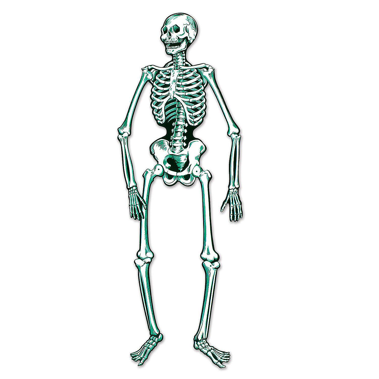 Beistle - Jointed Skeleton - 4' 7" - 12 Pack | Oriental Trading