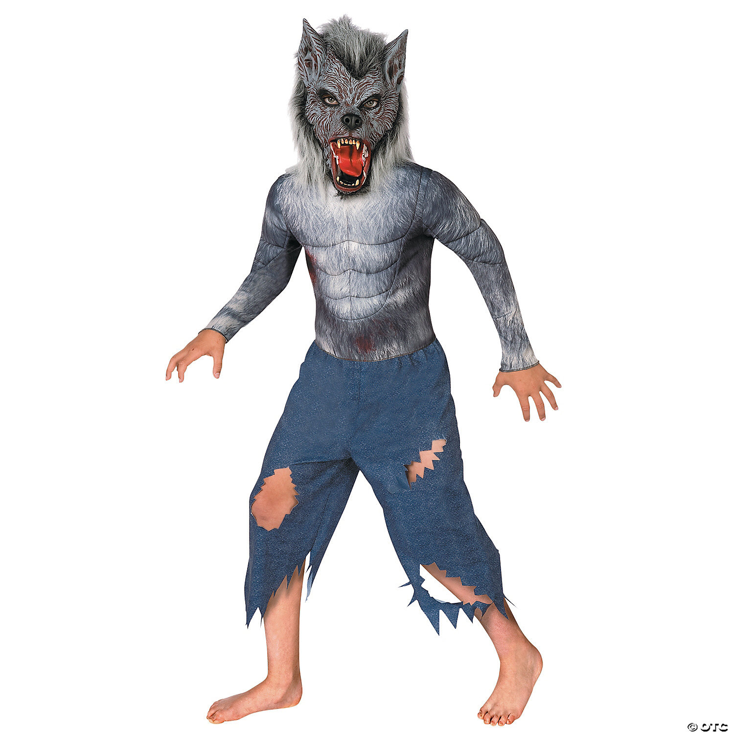 Boy's Werewolf Costume | Oriental Trading