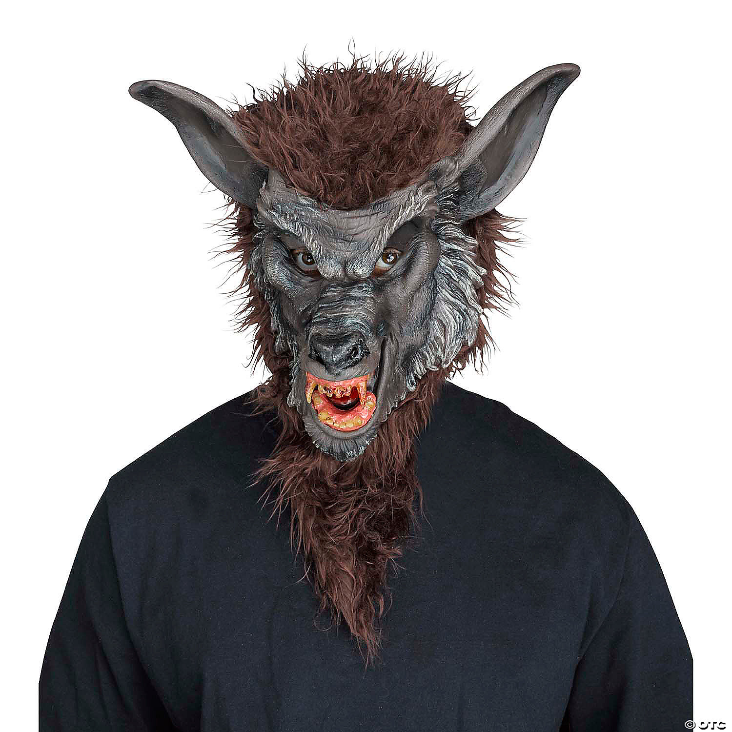 BROWN WEREWOLF MASK TEETH | Morris Costumes