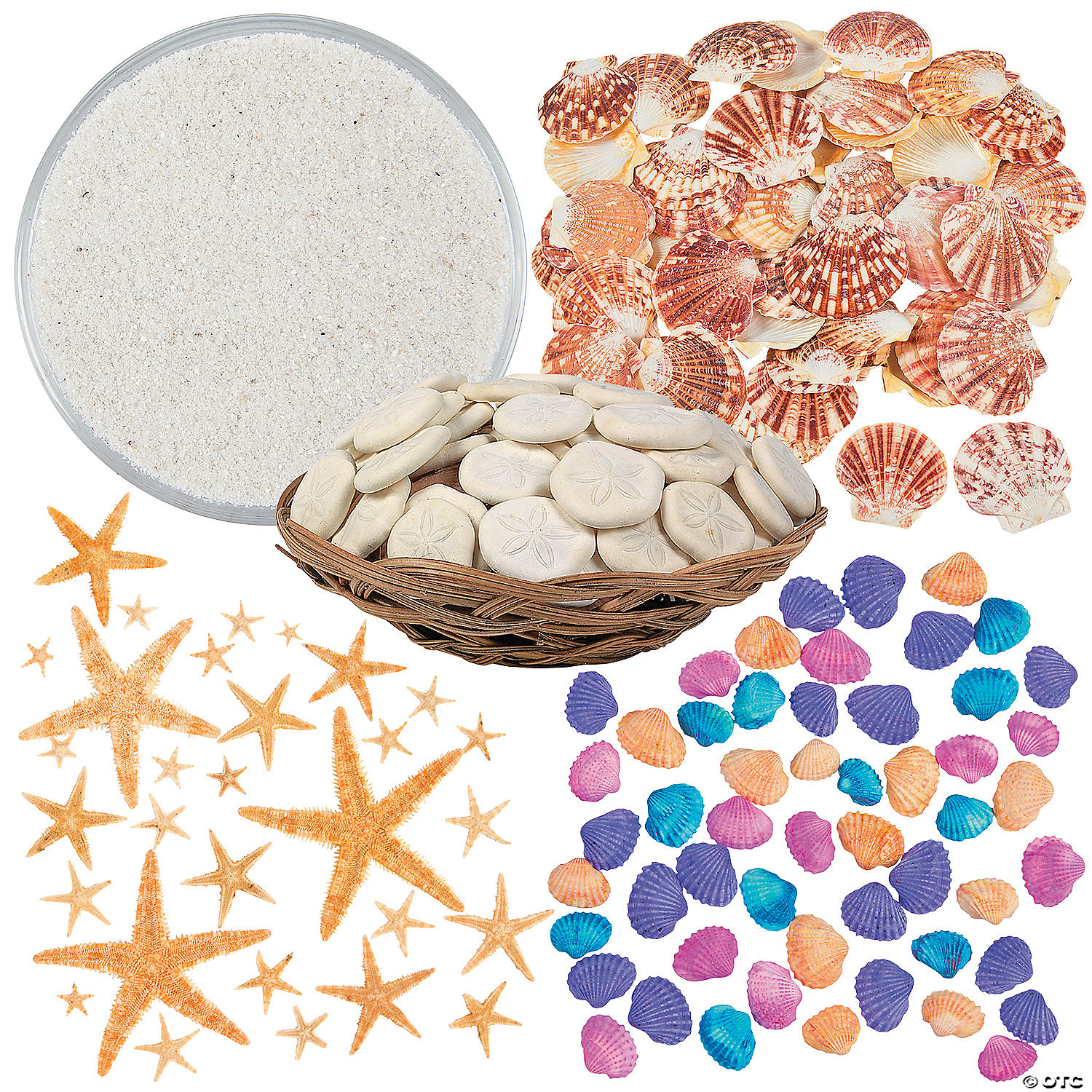 Bulk 501 Pc. Super Shell Assortment