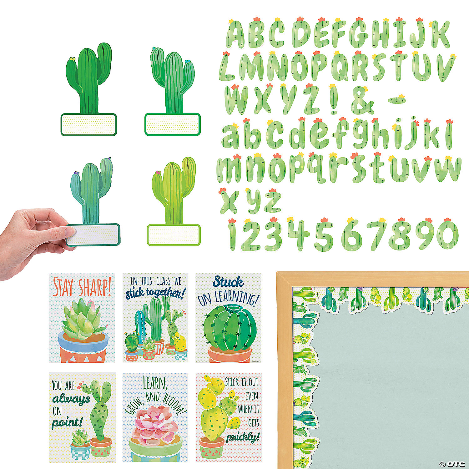 Cactus Classroom Decorating Kit - 314 Pc.