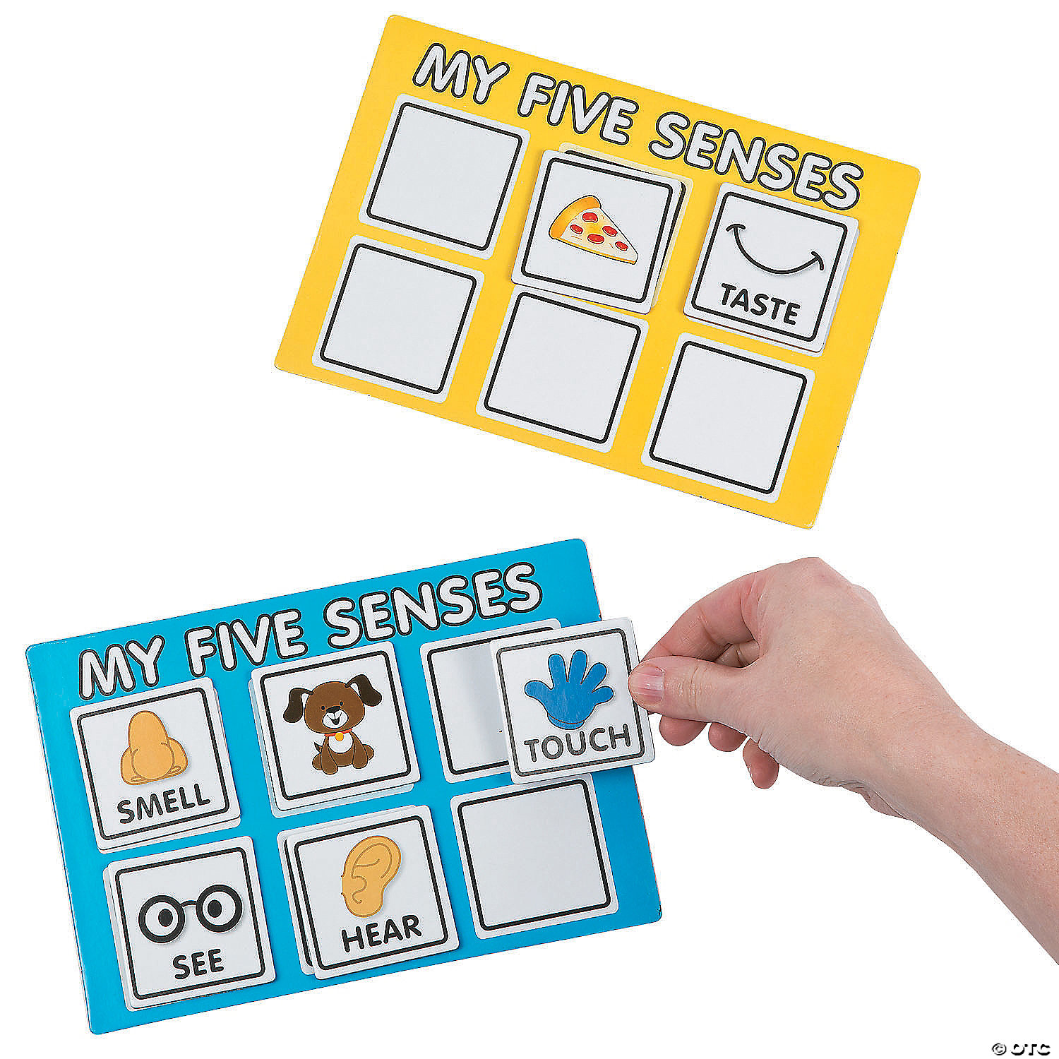 Cardboard Five Senses Sorting Game | Fun Express