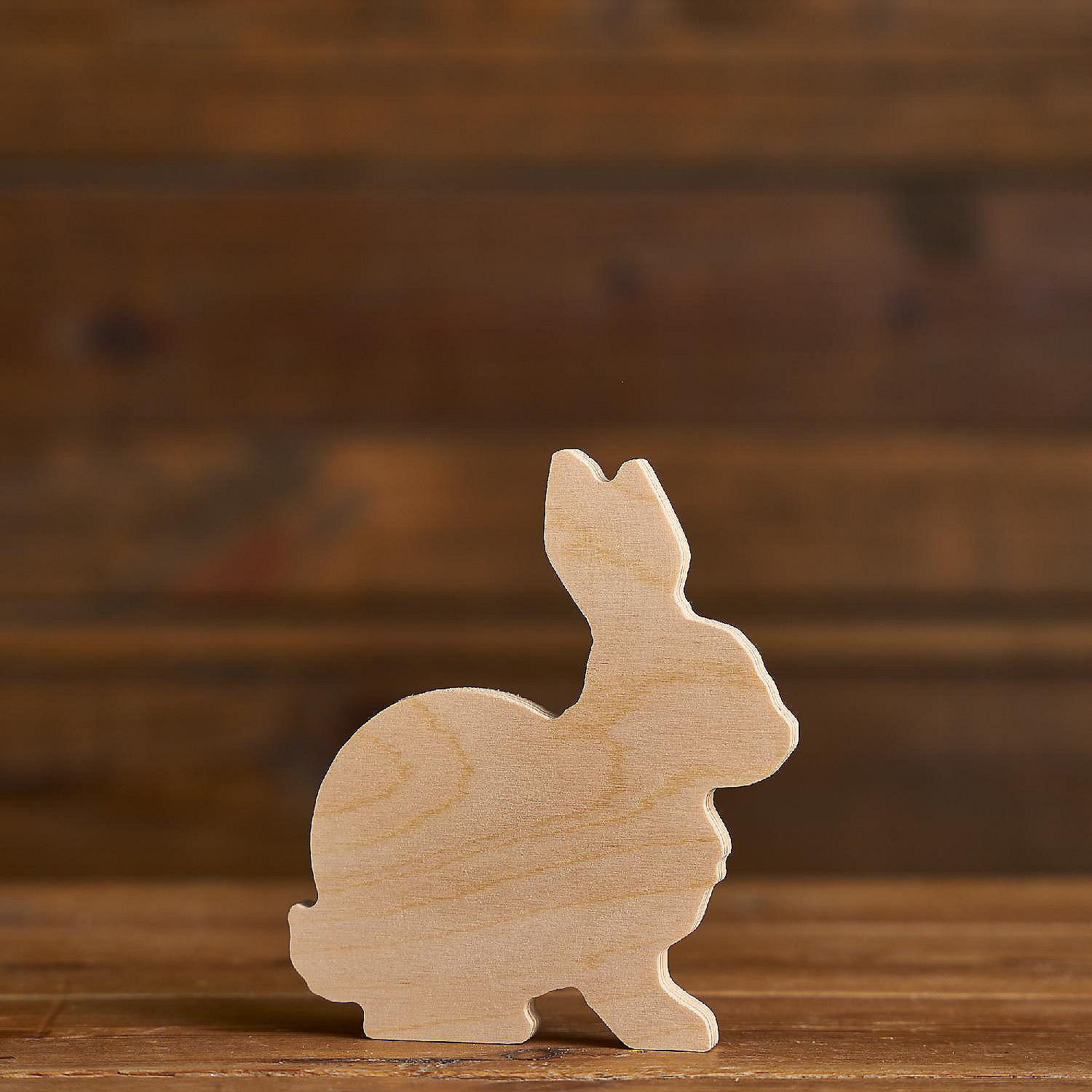 Chunky Shape - Bunny 4pc | Oriental Trading