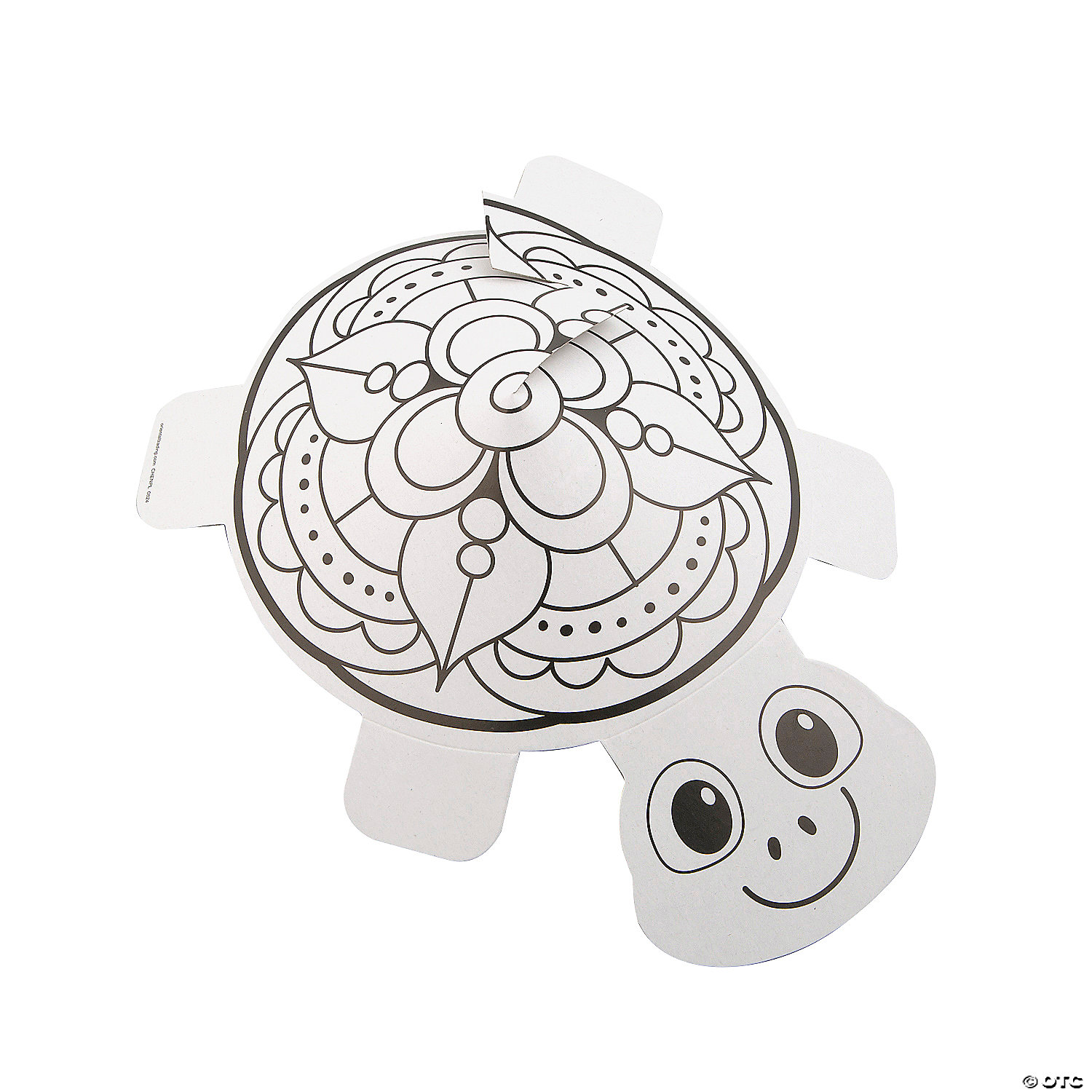 Color Your Own 3D Cone Shell Turtles