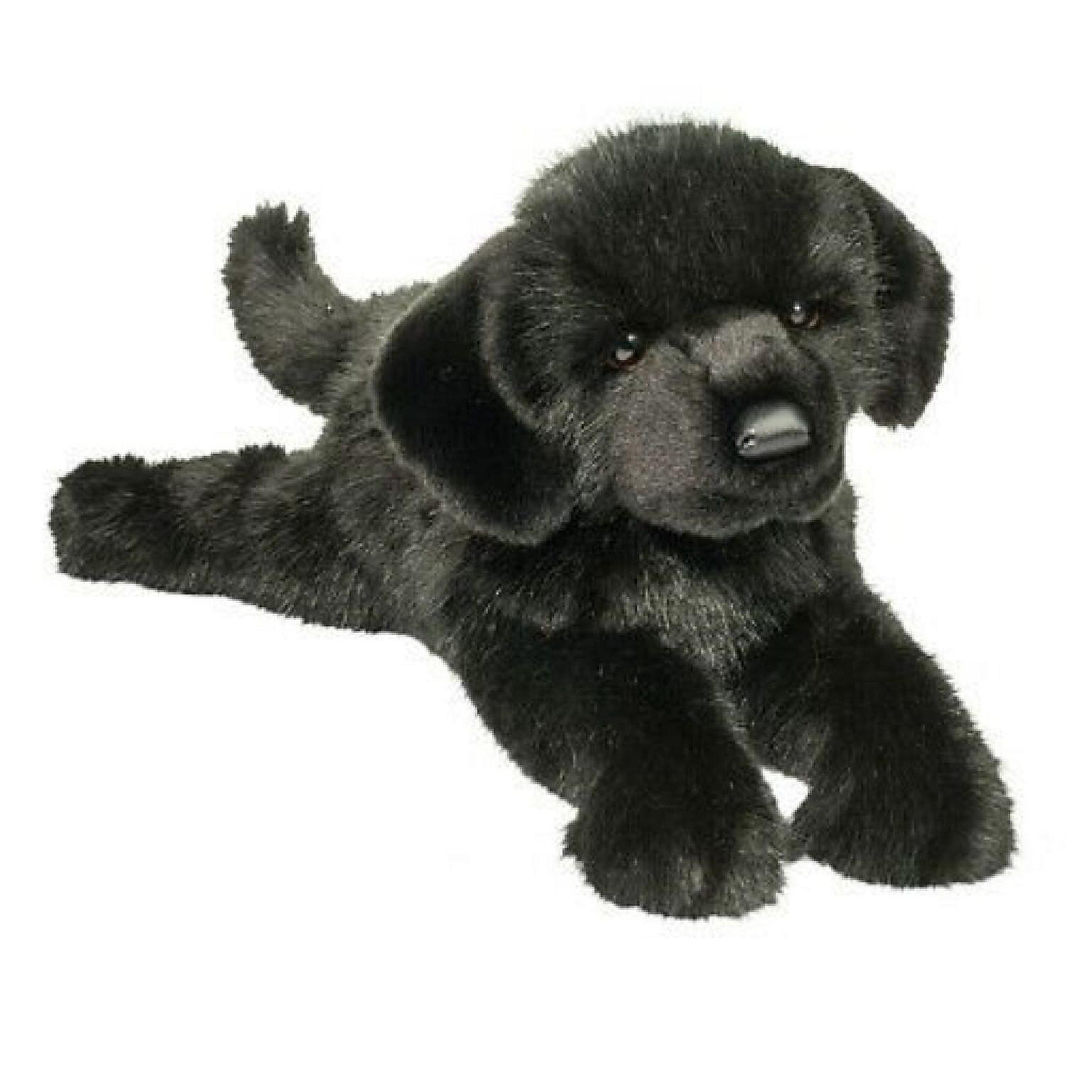 Douglas Abraham Black Lab | Oriental Trading