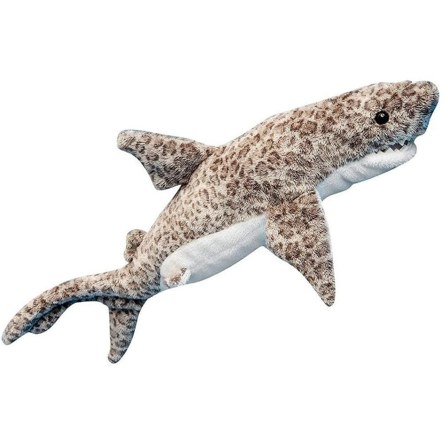 Douglas Titus Tiger Shark