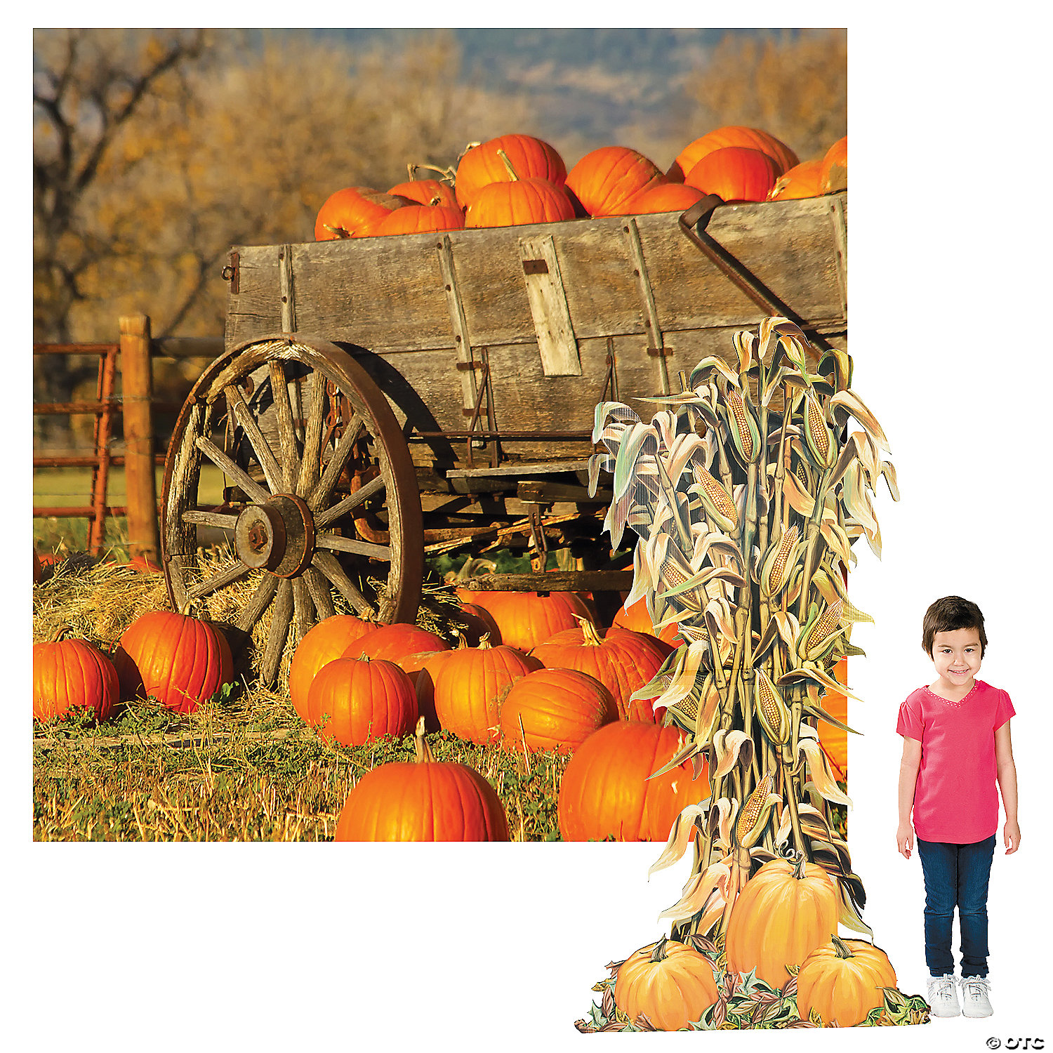 Fall Pumpkin Patch Backdrop & Cardboard Stand-Up Decorating Kit - 2 Pc.