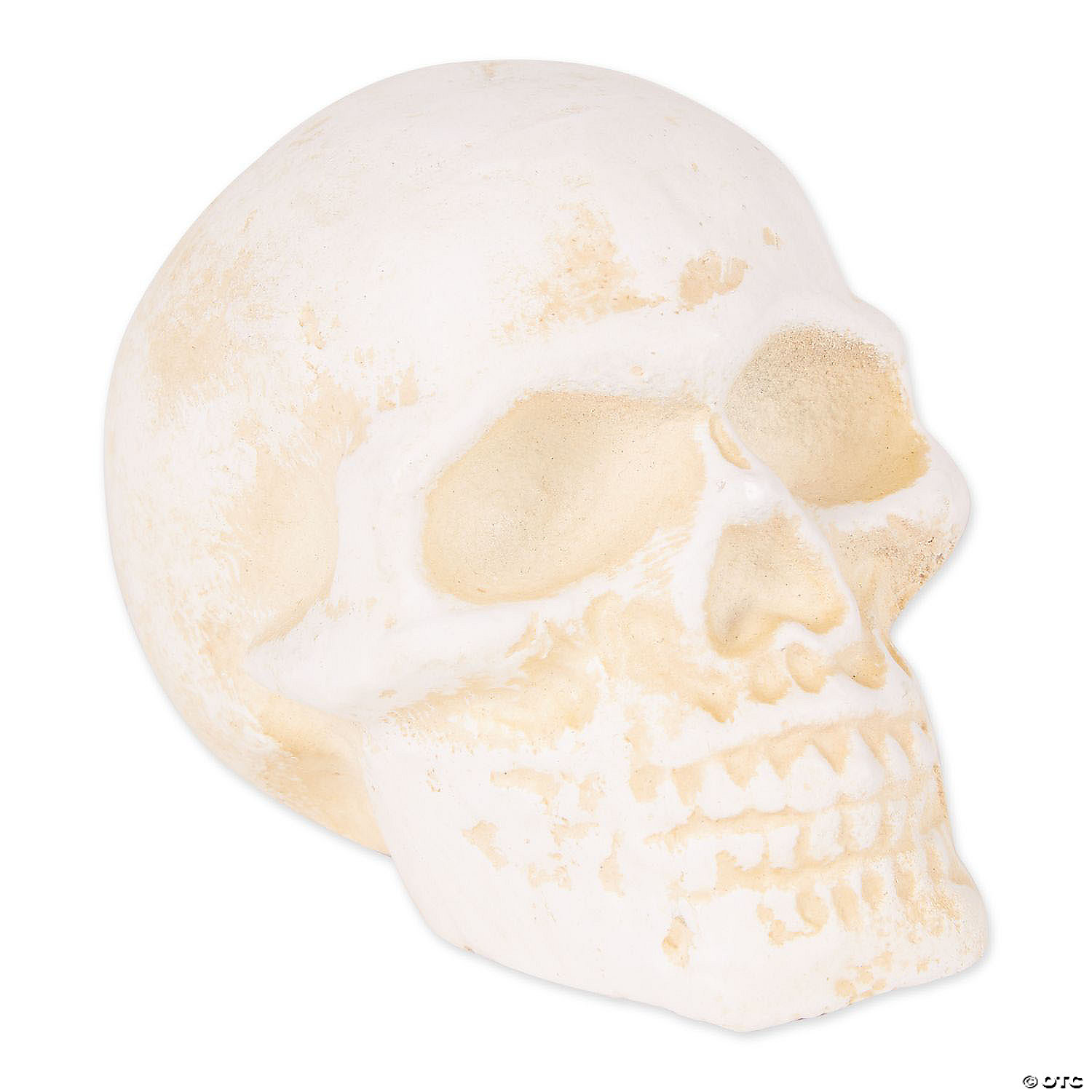 Human Skull Cast Iron Paperweight | Oriental Trading