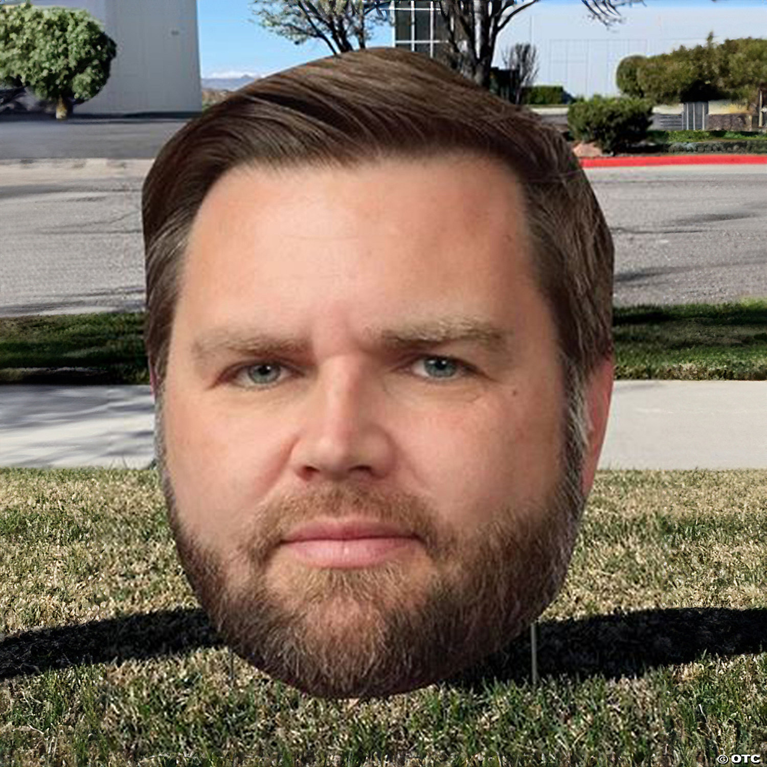 JD Vance Big Head Yard Sign | Fun Express