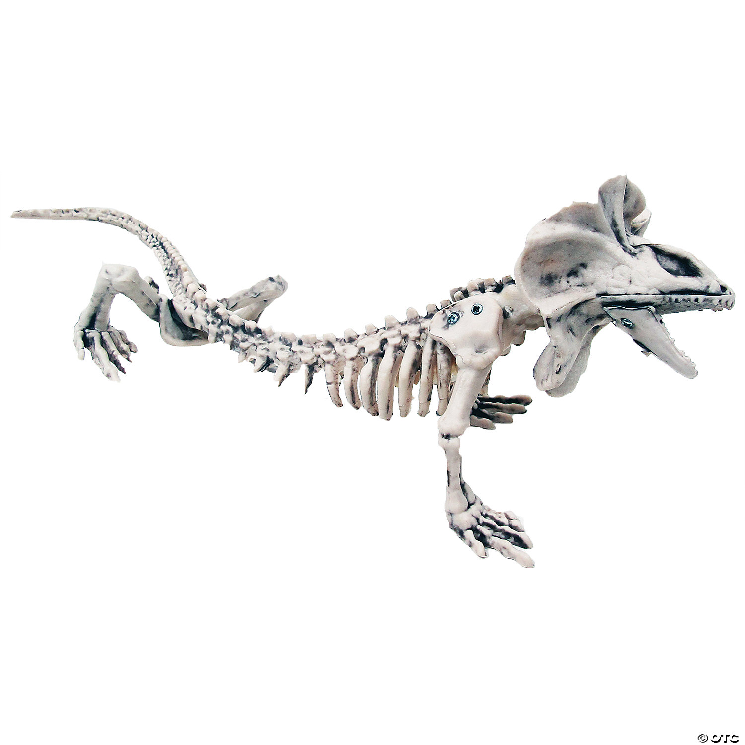 Lizard Skeleton Decoration | Morris Costumes