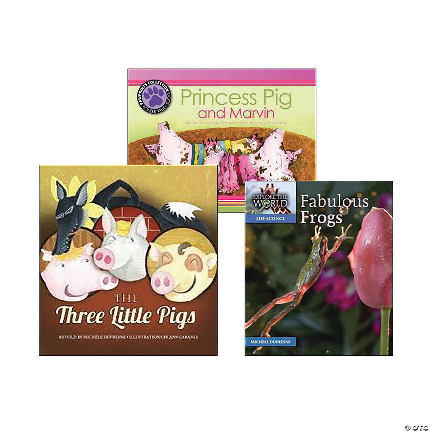 Pioneer Valley Level C Book Set | Oriental Trading