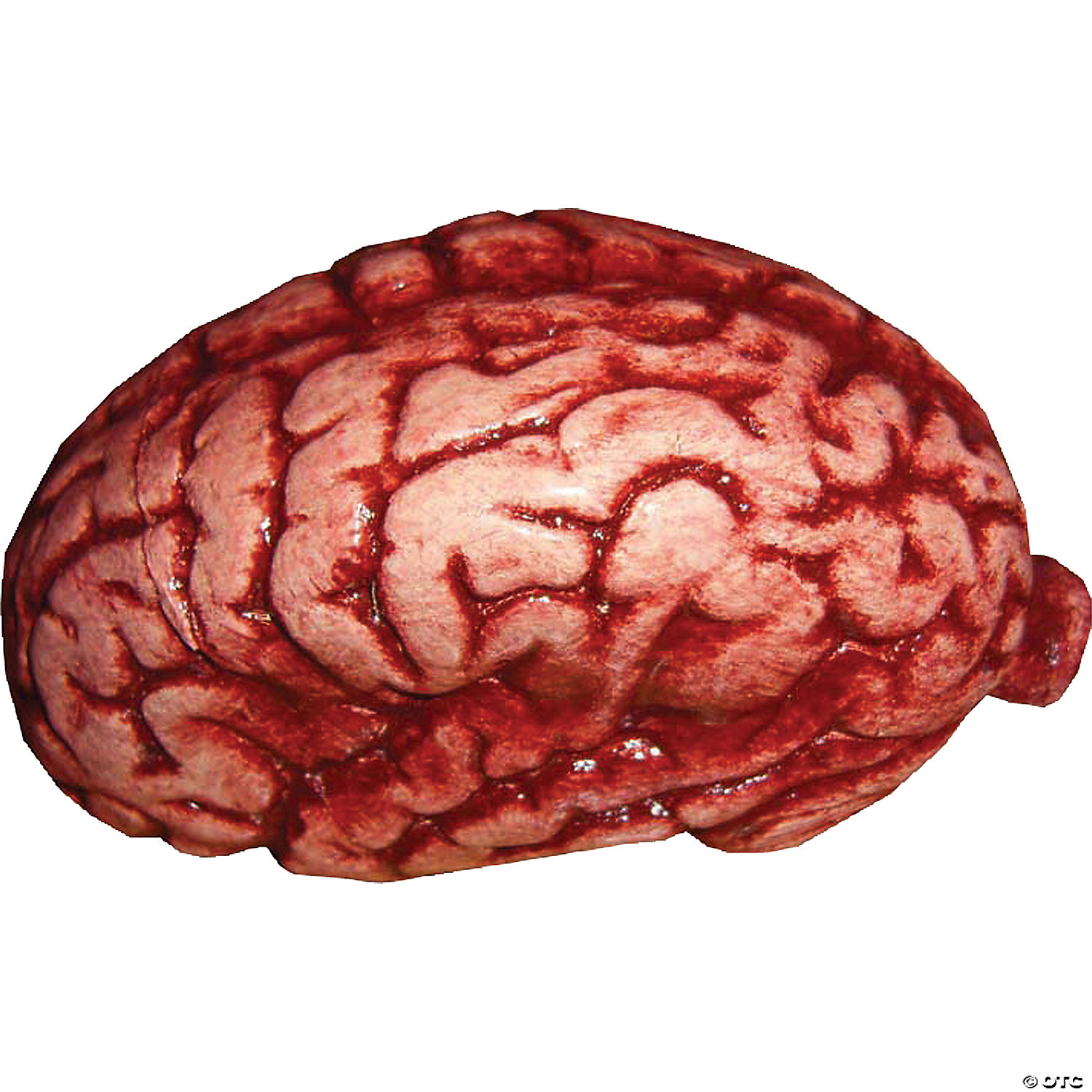 Realistic Brain Prop Halloween Decoration | Oriental Trading