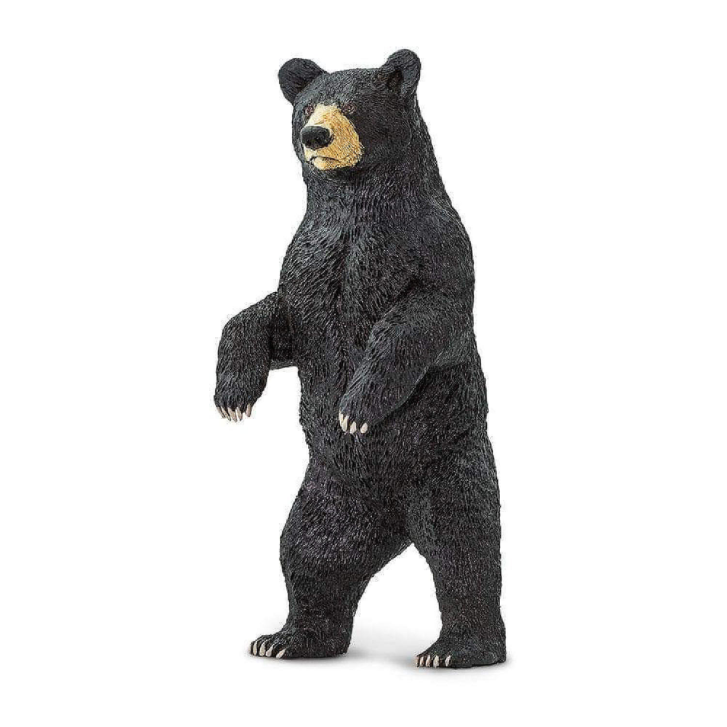 Safari Standing Black Bear Toy | Oriental Trading