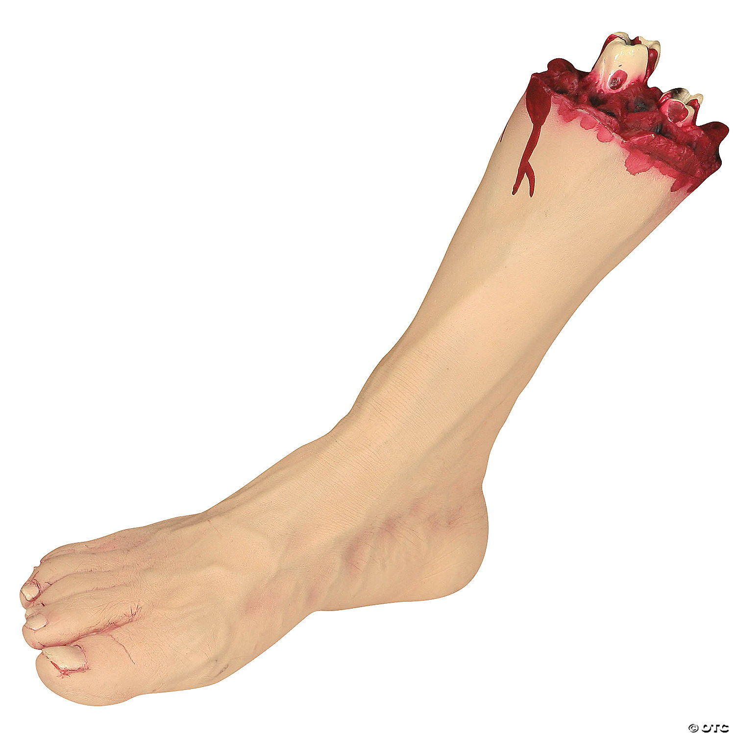 Severed Foot Prop | Morris Costumes