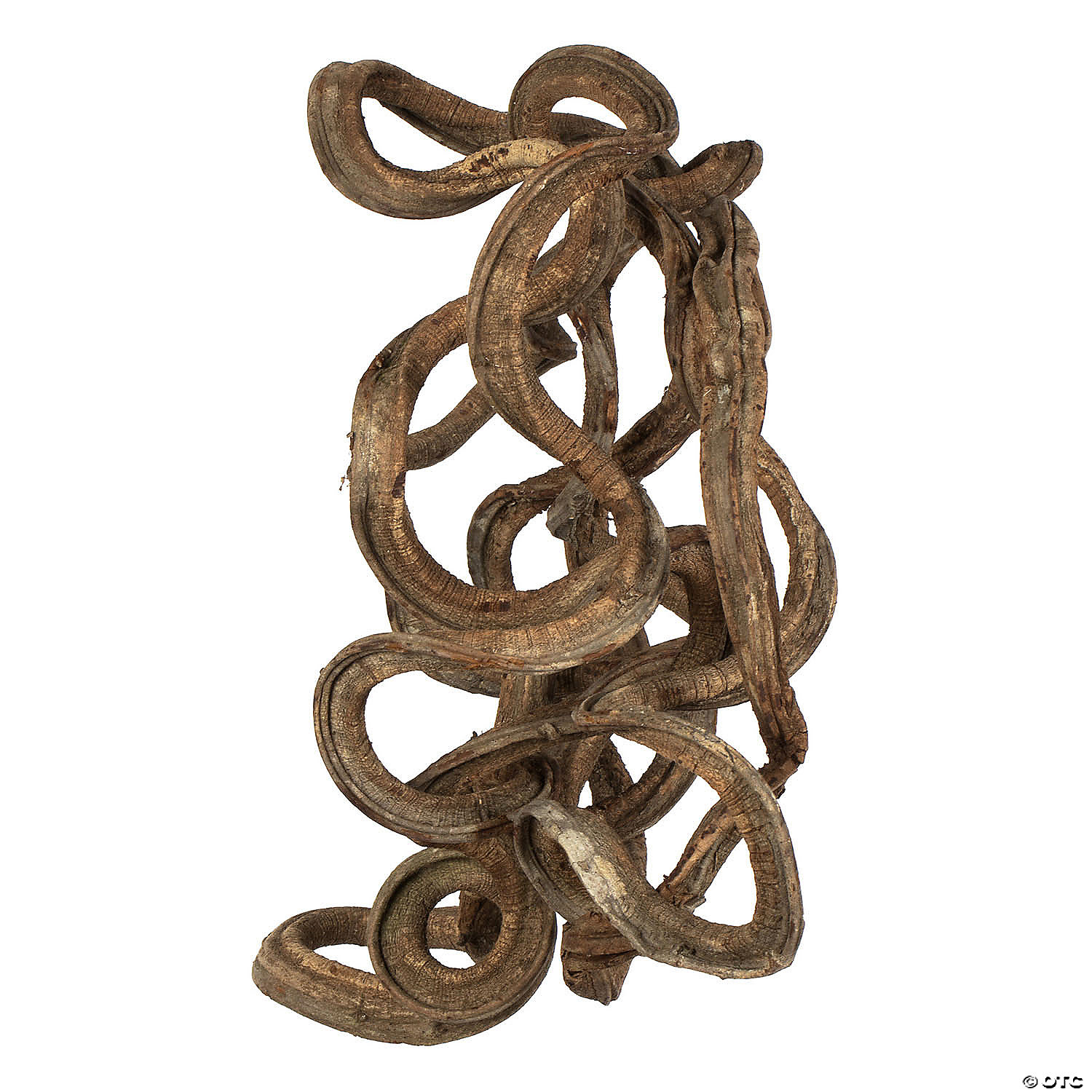 Vickerman 13" Natural Coiled Vine, Dried | Oriental Trading