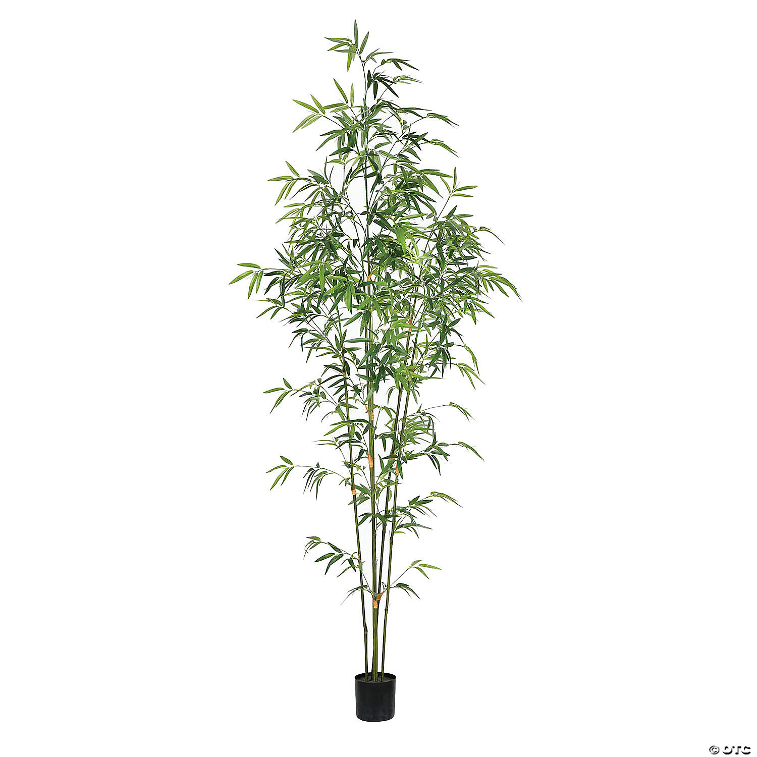 Vickerman 6' Artificial Potted Mini Bamboo Tree
