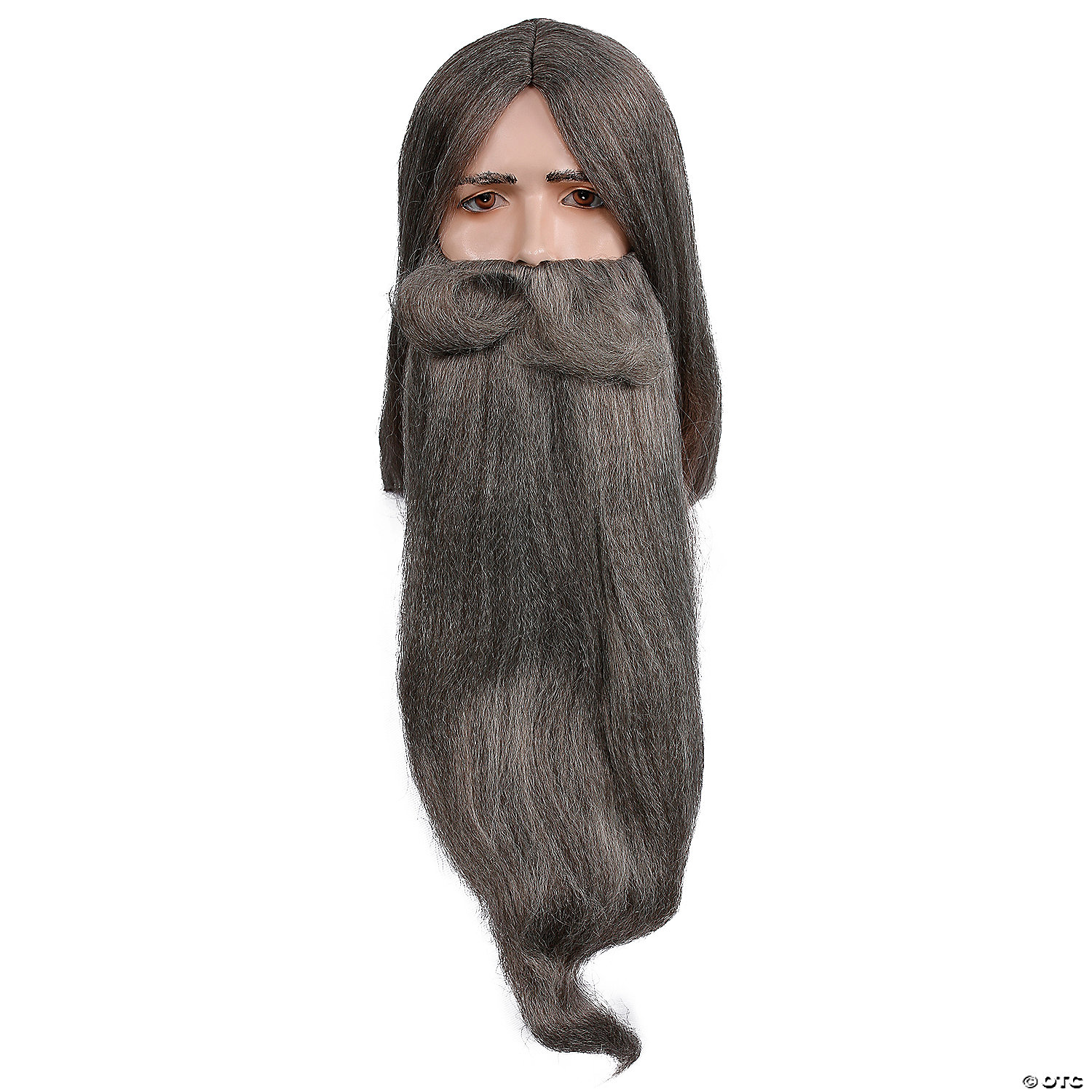 Wizard Long-Haired Wig & Beard Set - Light Gray 44