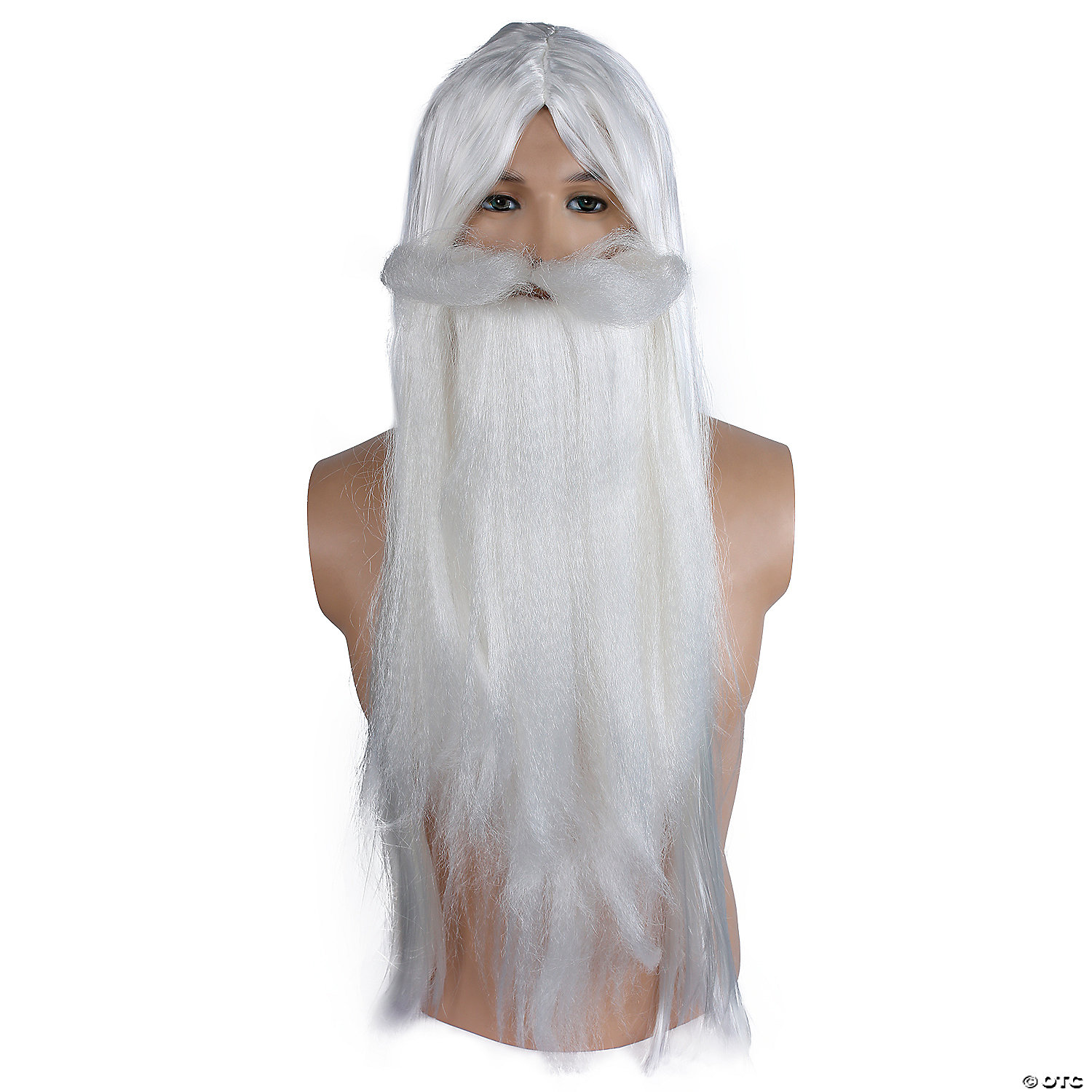 Wizard Long-Haired Wig & Beard Set - White 60