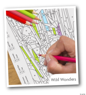 Color by Number with Colored Pencils | MindWare