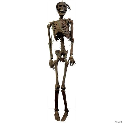 Rotted Corpse Skeleton Decoration | Oriental Trading