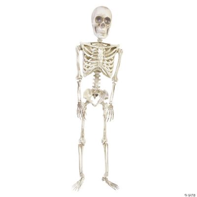 36" Posable Articulated Skeleton Halloween Decoration | Oriental Trading