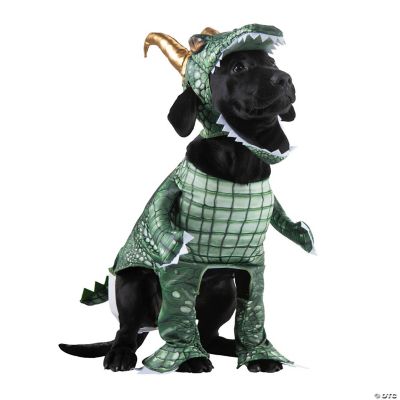 Loki Pet Classic Costume - X Large | Oriental Trading