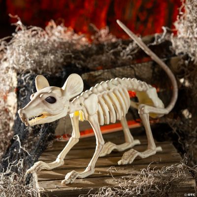 24" x 7" Rat Skeleton Plastic Halloween Tabletop Decoration | Oriental ...